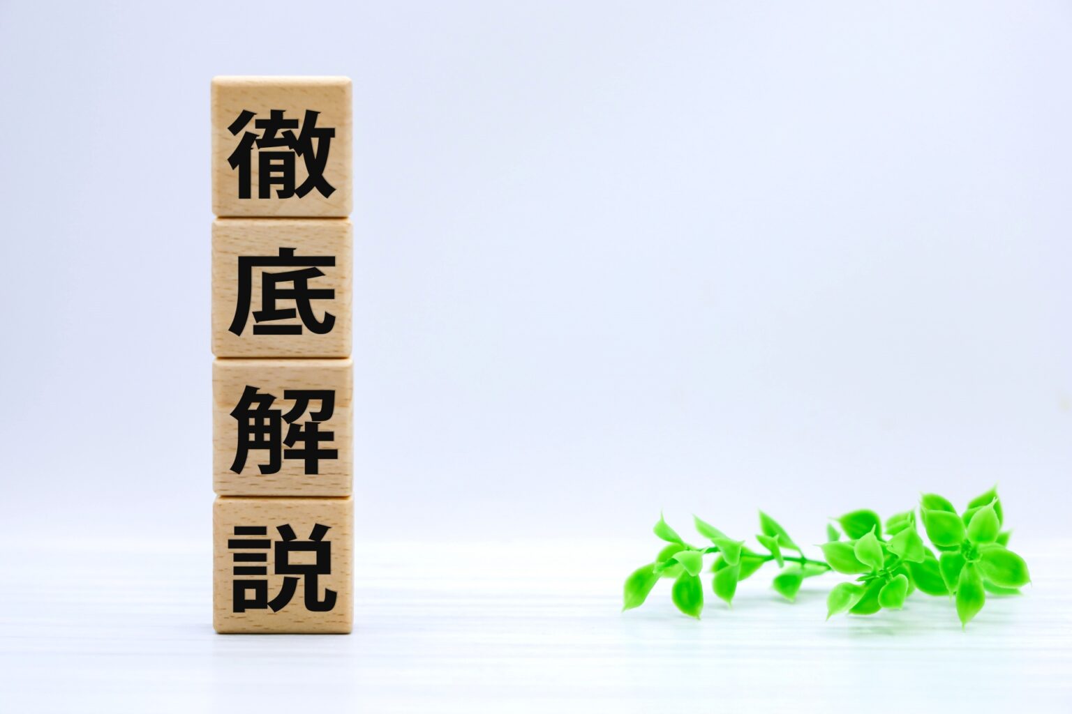 ANA VISA ワイドゴールド カードの特徴とANA VISA Suica カードとの比較 - クレジットカードナビ