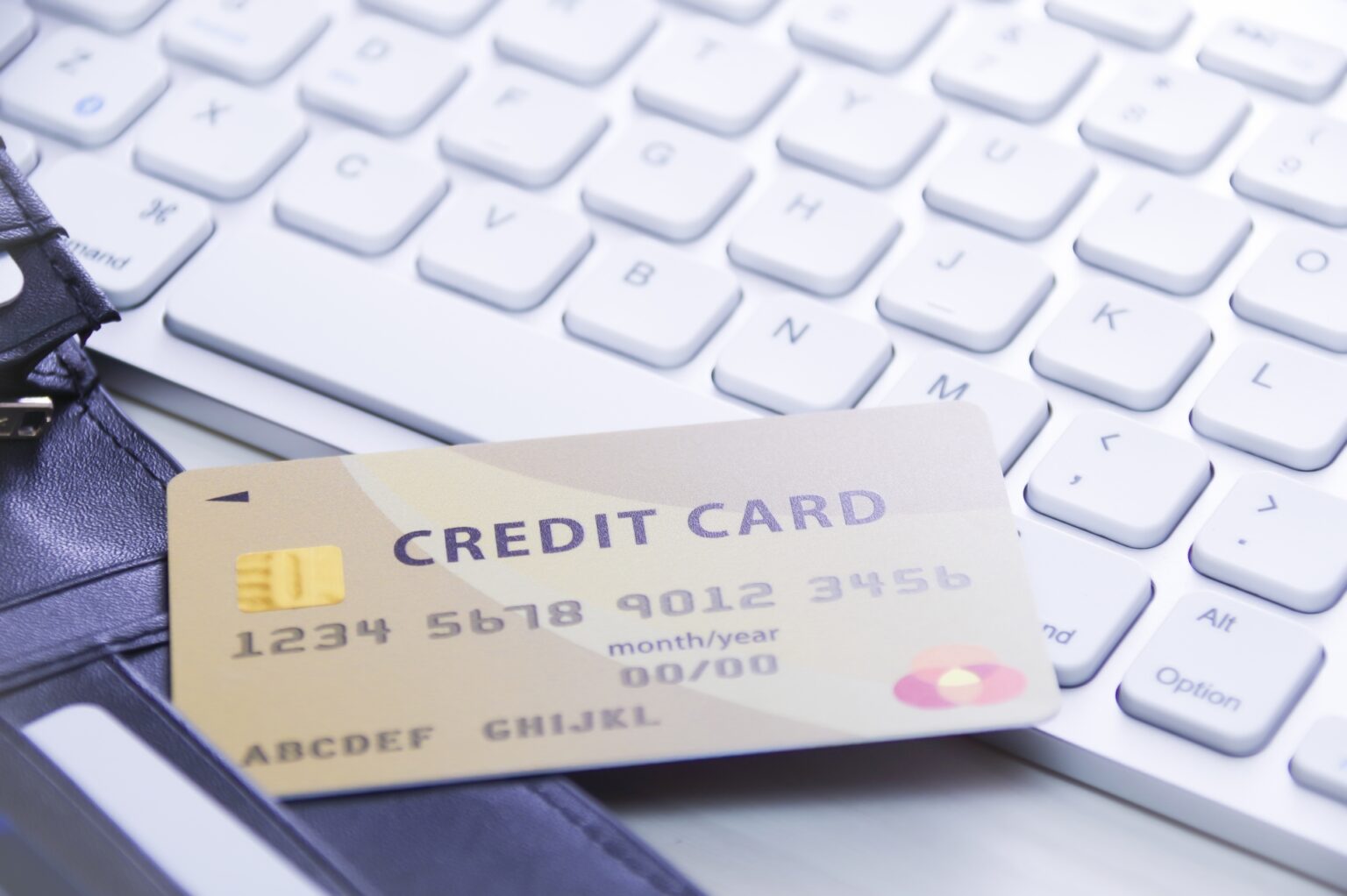 イオンJMBカード（JMB WAON一体型）とJALカードの2枚持ちは有効？メリットと注意点を解説 - クレジットカードおすすめナビ